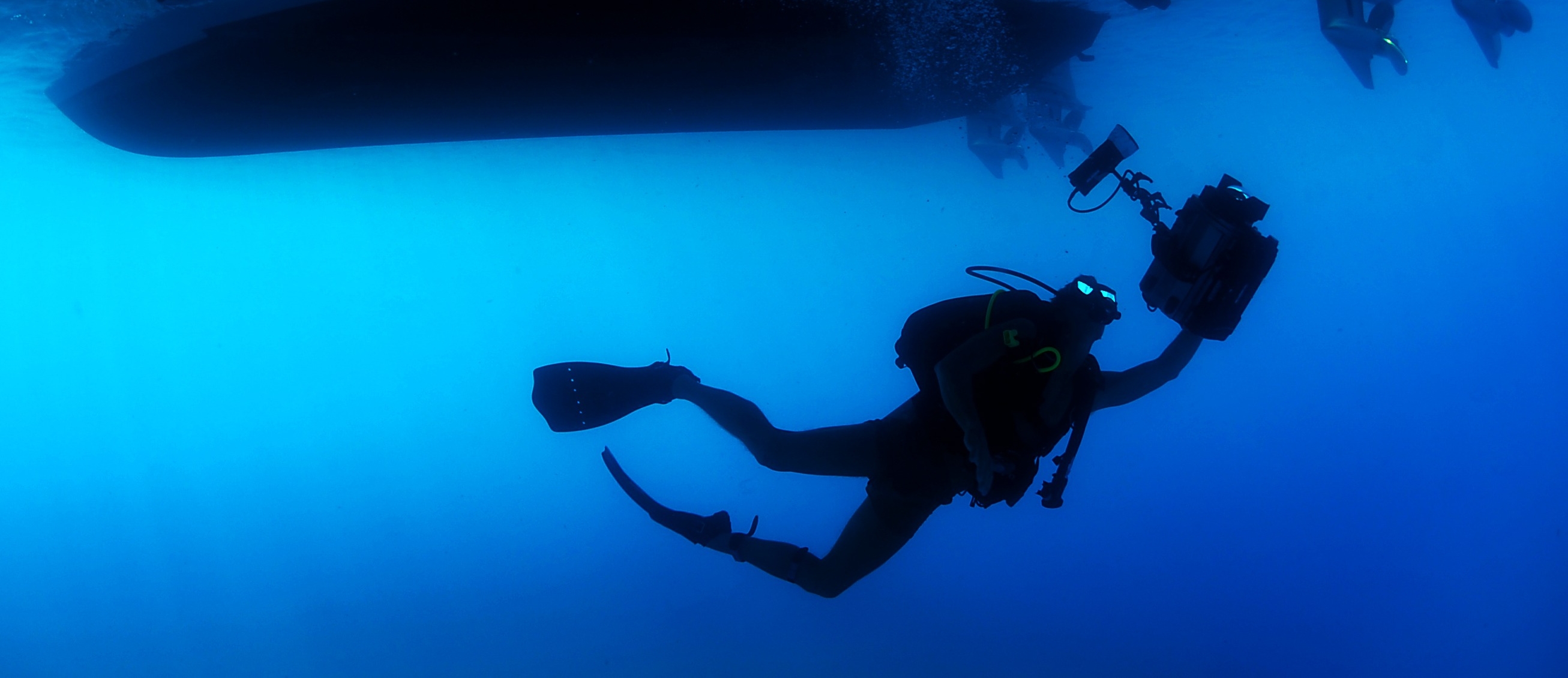 Explore Our Research | imet