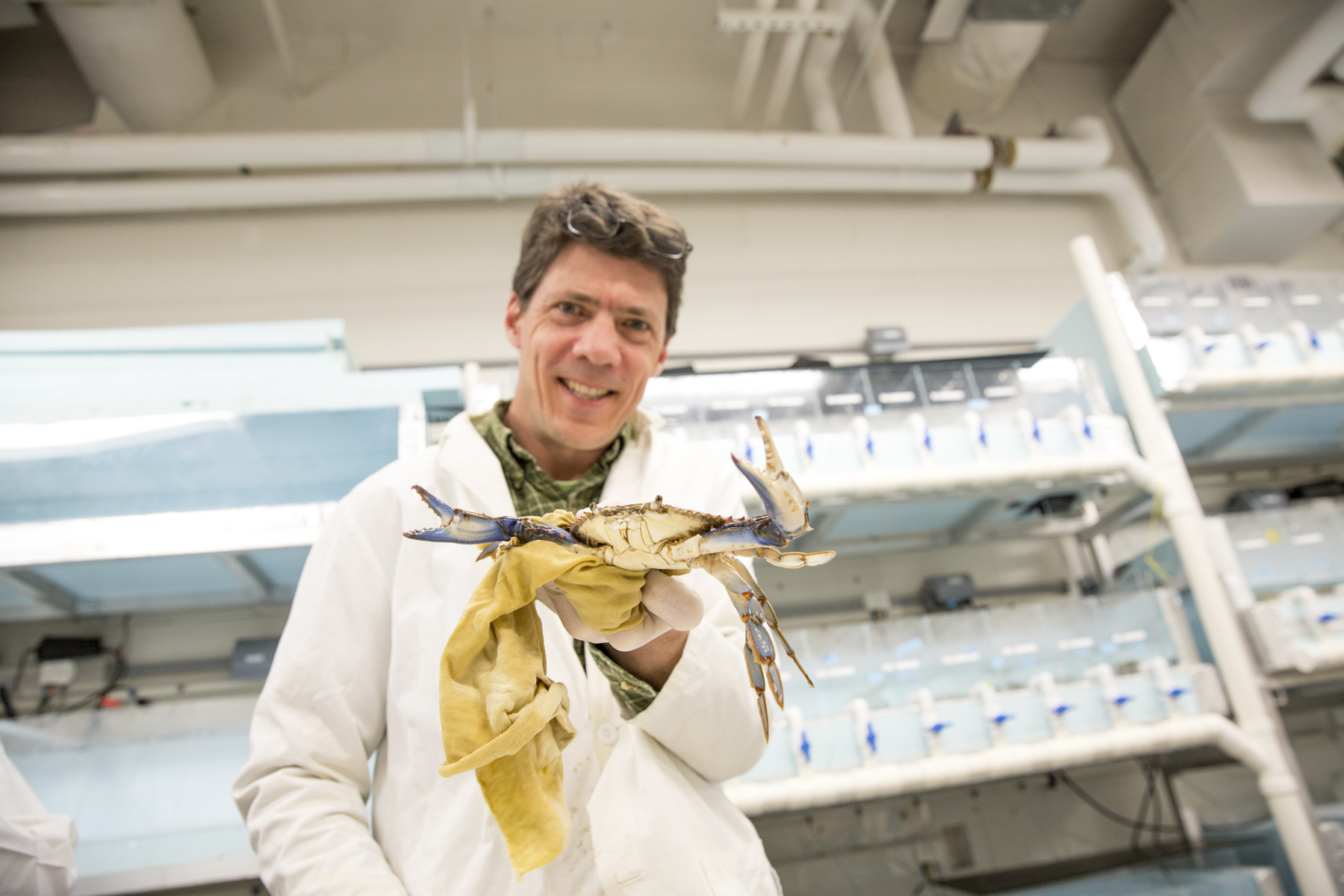 Dr. Eric Schott receives highest university award for commitment to ...