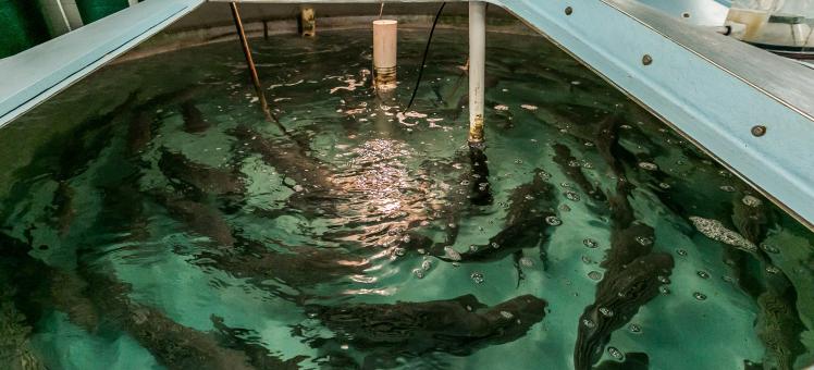 Training for New Hires | imet